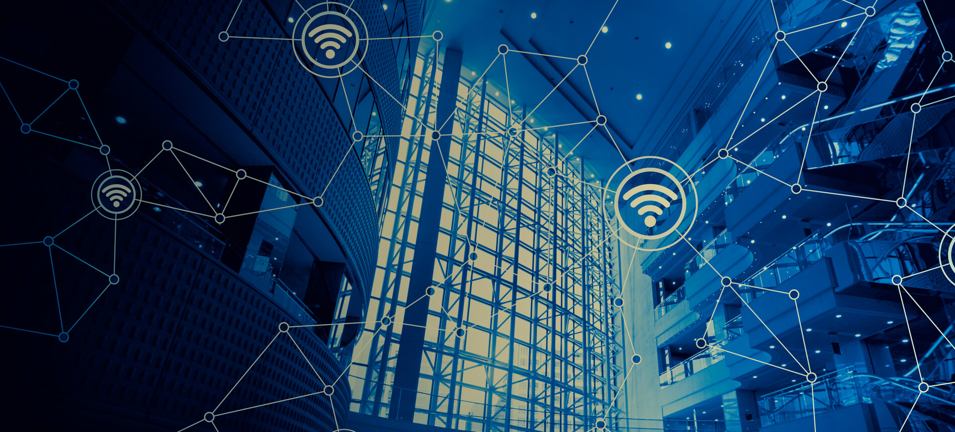 Wireless Networking - Renovotec